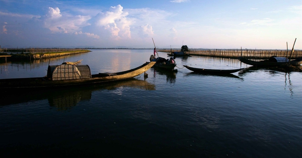 Kỳ II: Ghé Tam Giang thưởng ngoạn một vùng “cá nước chim trời” nơi đầm phá