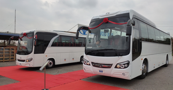 Daewoo Bus Việt Nam giới thiệu hai xe mới G8, G12