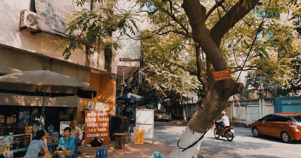 Nhẩn nha trà đá vỉa hè